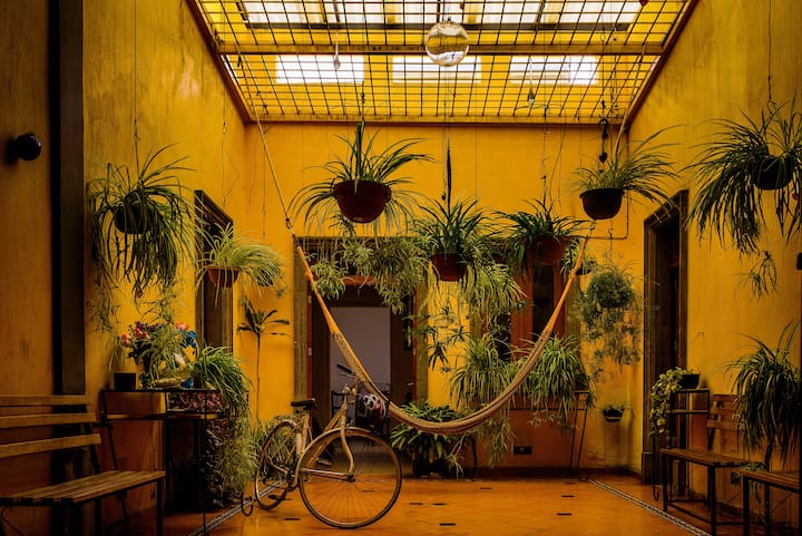 Posada 911 (Habitación: La Gardenia) - Guadalajara