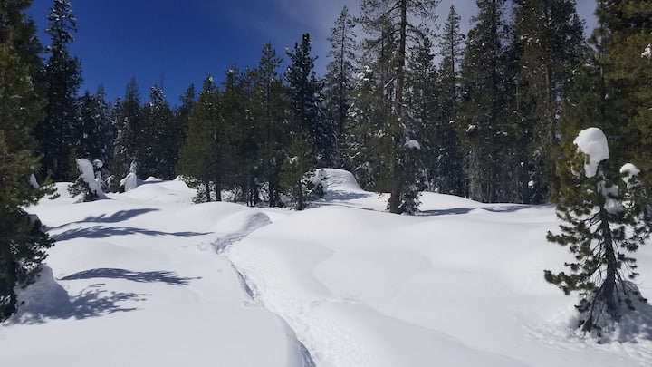 Adventure Awaits- Cabin Near Skiing, Hiking & More - Bear Valley, CA