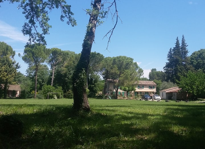 Jolie Maison T2 - Provence Côté Ventoux - Vaucluse
