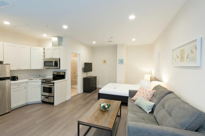 Simple Studio -Walk To Mgh, Beacon Hill, North End - Quincy