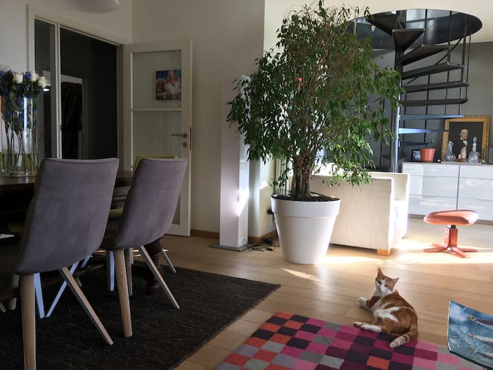 Au Balcon De La Grand Place - Brüssel