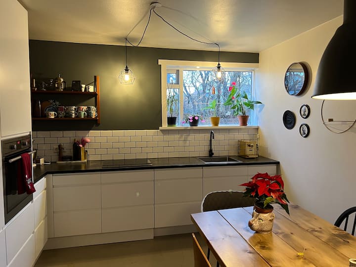 Modern Apartment, Grate Location. - Reykjavik