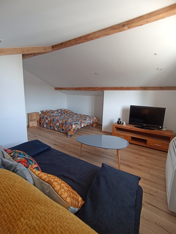 Charmant Logement, Proche Hôpitaux Et Centre Ville - Pau