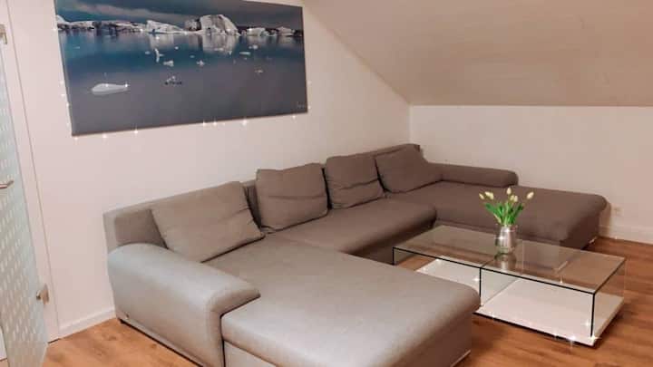 Luxuriöse Und Renovierte Wohnung In Paderborn - Paderborn