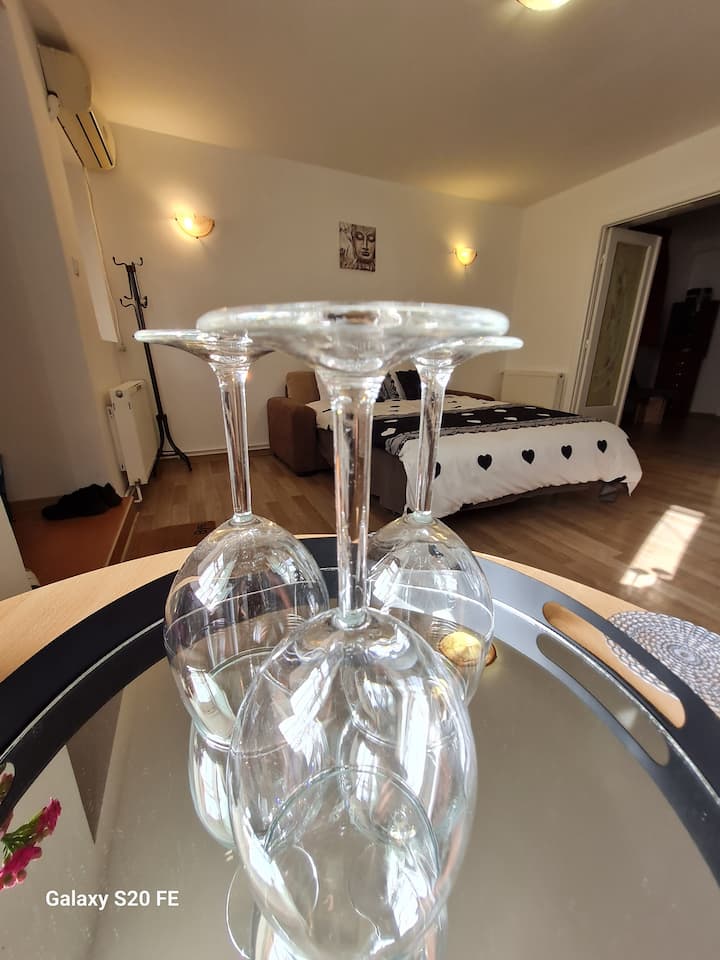 Ambient Cismigiu Home - Bucarest