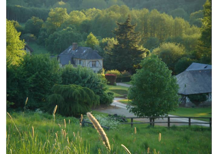 Manoir St James. 12 Km From Deauville. Piscine. - Lisieux
