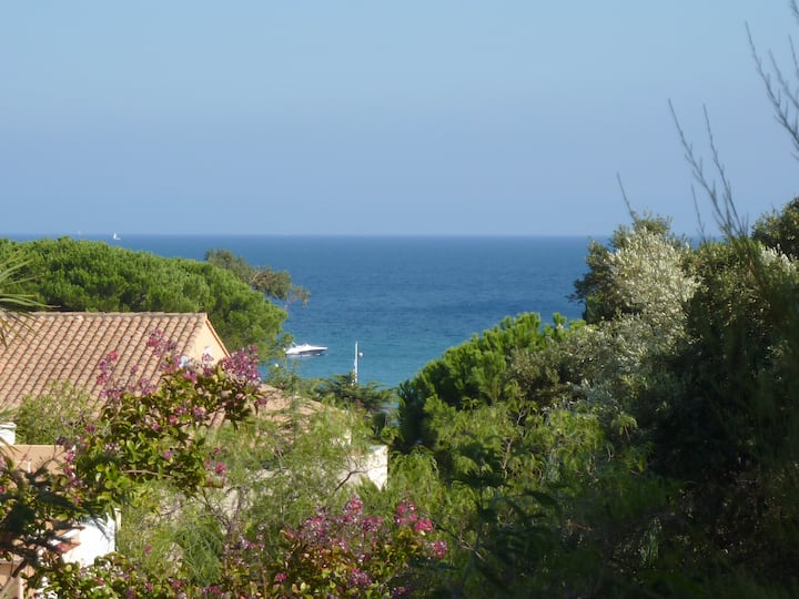 Les Pieds Dans L'eau, T2 Avec Terrasse, Vue/mer - Le Lavandou