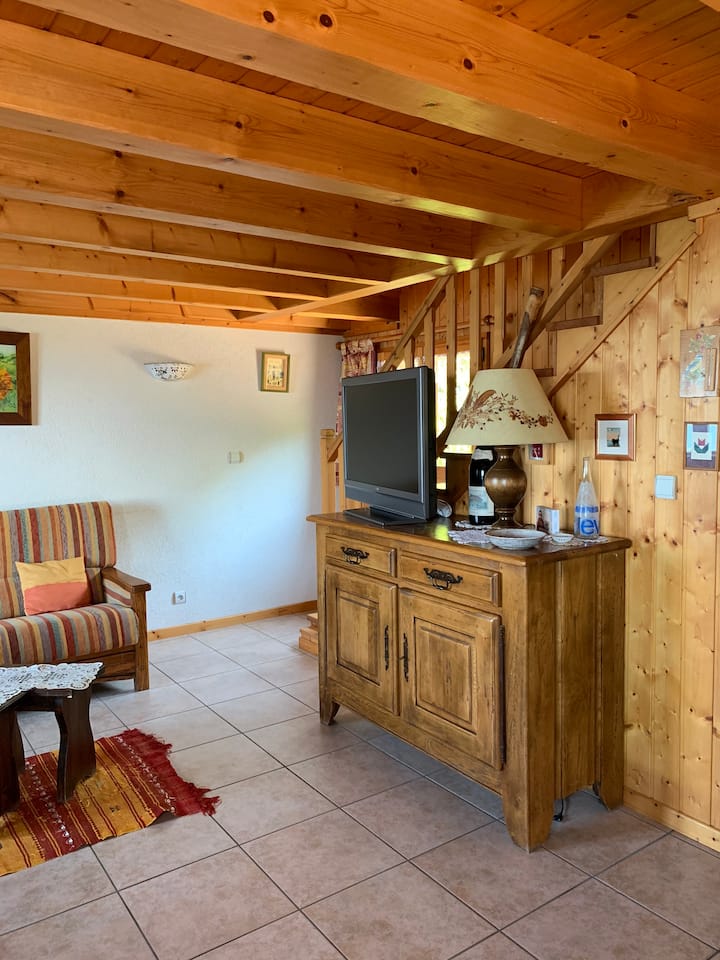 Chalet Avec Vue Imprenable Sur Le Lac Léman - Meer van Genève