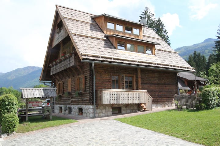 Apartments Brina, 2 Bedroom Apartment - Ribčev Laz