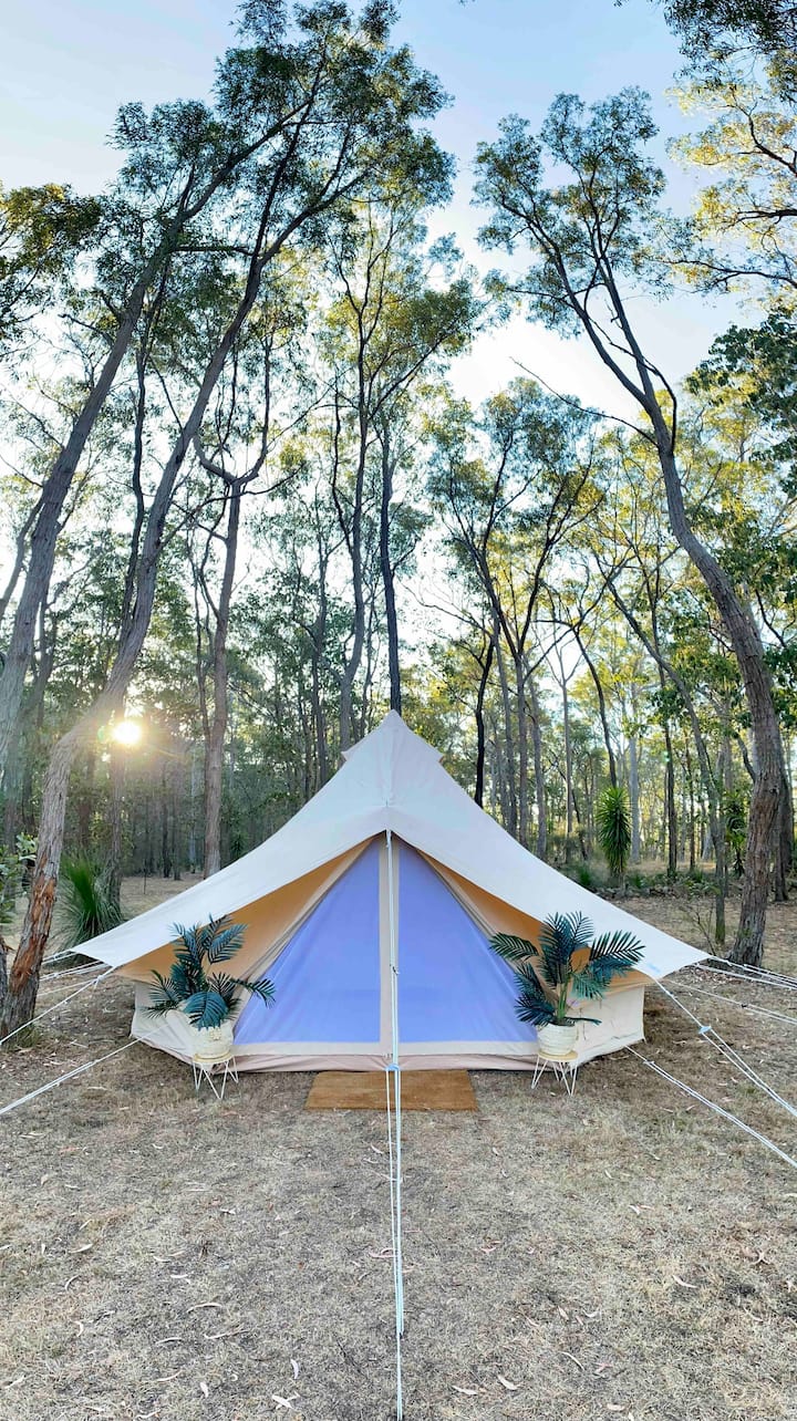 Scenic Rim Eco Glamping - Kalbar