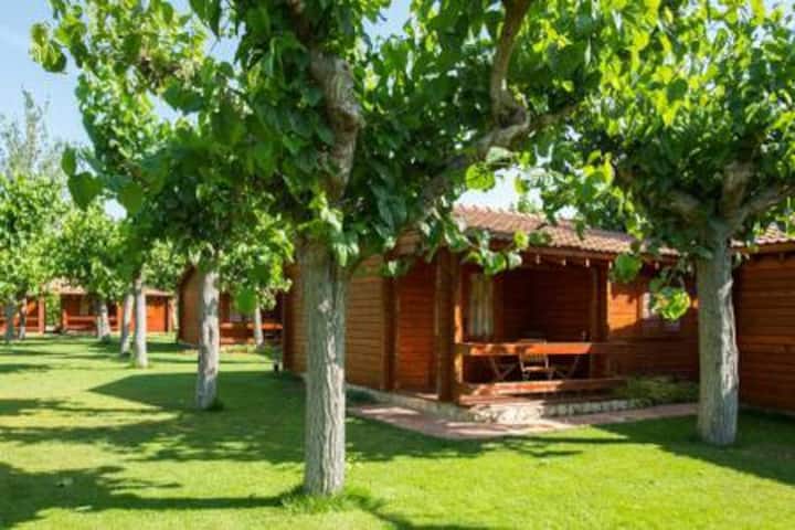 Mobile Home Cambrils Pet Friendly Al Lado Del Mar2 - Cambrils