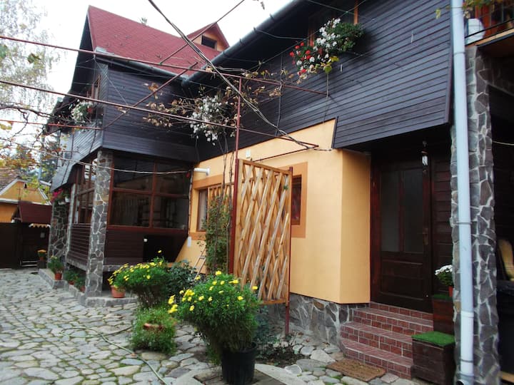 Pensiunea Sandra- Sibiel- Transilvania - Apoldu de Jos