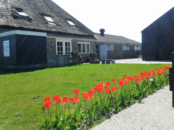 Appartement Op Boerderij Voor Max 6 Personen - Groet