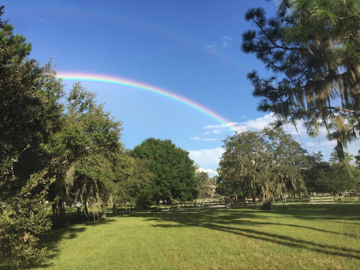 Country Home Horse Lovers Paradise - Lakewood Ranch, FL