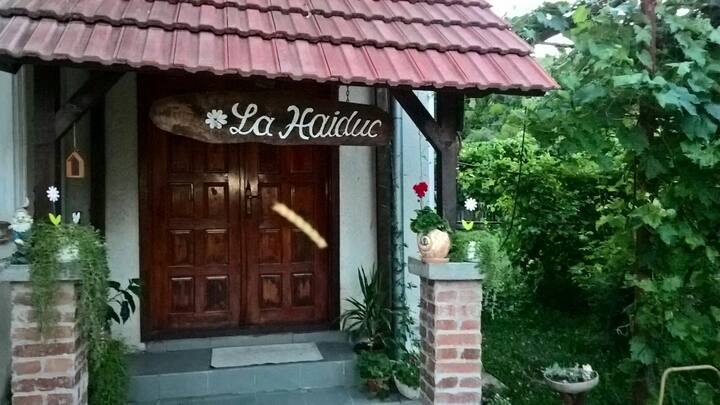 La Haiduc - Bala, Romania