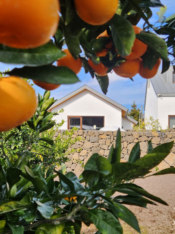 바티하우스 - Ciudad de Jeju