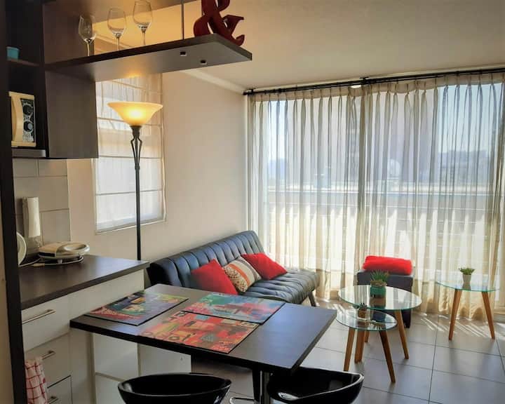 Depto Ideal Para Dos. Comodidad A Pasos Del Metro - Recoleta