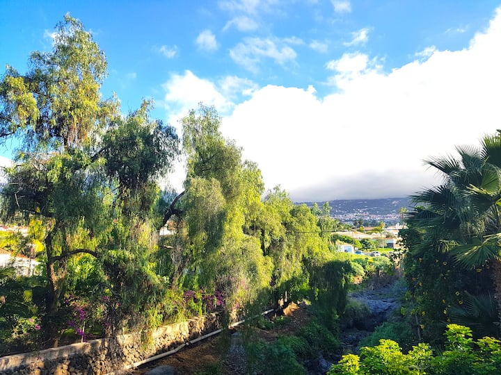 New Studio Near Taoro Park, 500mb Wifi - Canary Islands