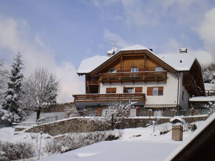 Apartments Mas Del Tas Predazzo Trentino Dolomiten - Predazzo