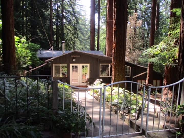 Big Sur Cabin Vacation Rentals - California, United States | Airbnb