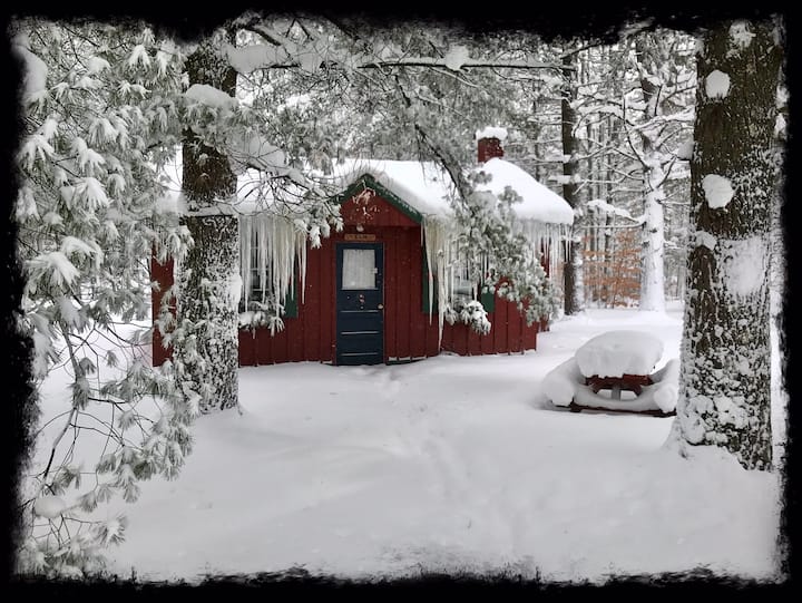 Ellis Lake Resort - Elm Log Cabin-interlochen - Interlochen, MI