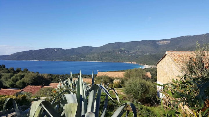 Mini-villa T2, Piscine, 5 Mn Plages, Corse Du Sud - Corse-du-Sud