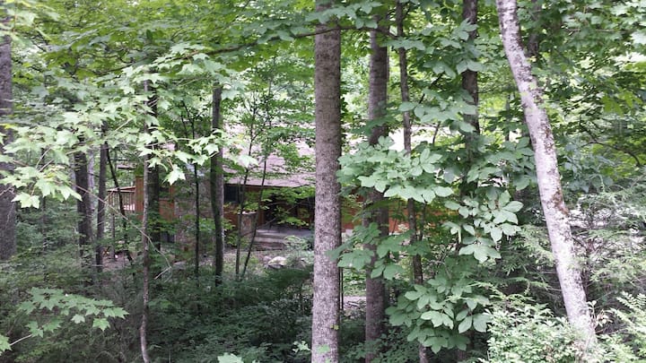 Dave & Barb's Place  -  Private ~ Quiet ~ Serene - Gatlinburg, TN