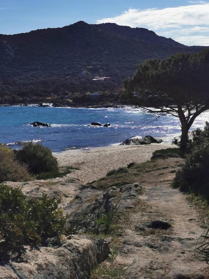 Appartement Tout éQuipé à 80m De La Plage - Lumio