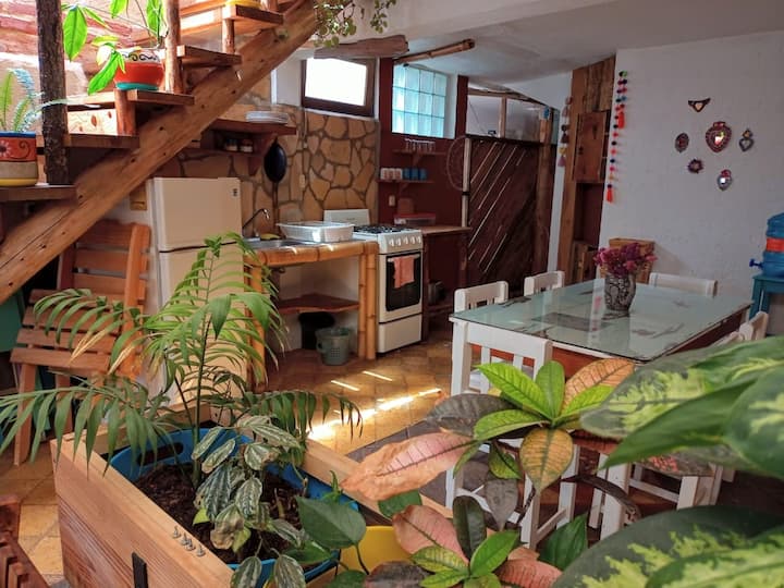 Casa Flores 78 - San Cristóbal de las Casas