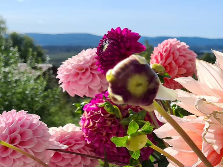 Utsikten -Exklusivt Nybyggt Timmerhus -Plintsberg. - Leksand