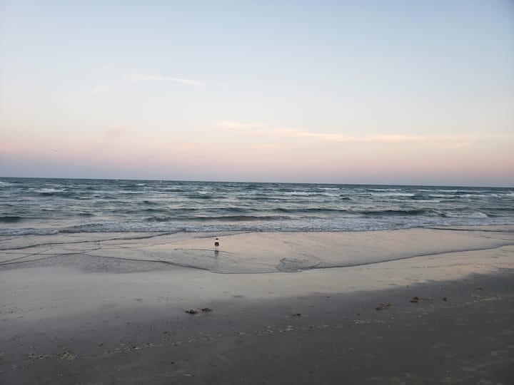 Etta's Beach Condo - Corpus Christi, TX