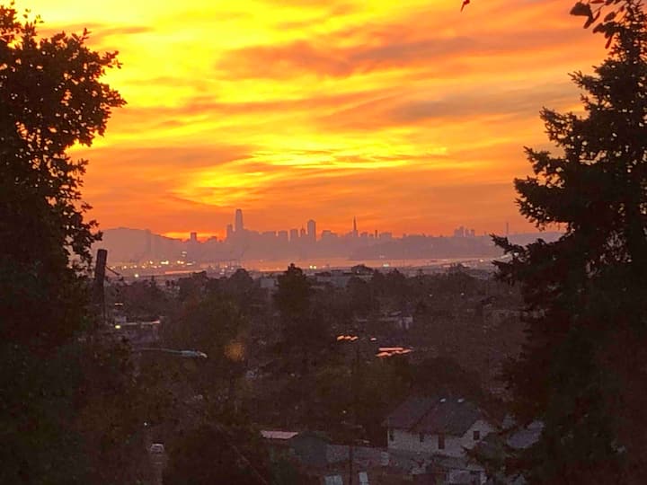 Vintage Upper Rockridge Gem - Oakland, CA