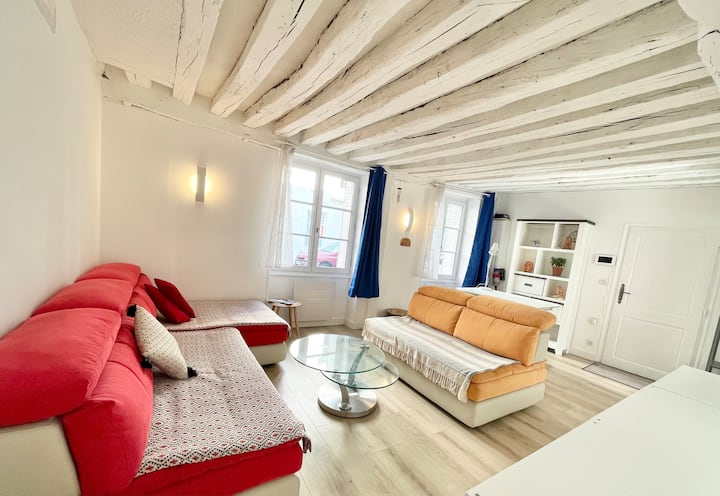 Appartement Coquet Orléans Centre - Orléans