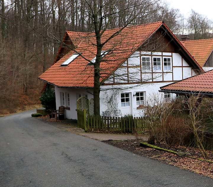 Haus Am Wald - Horn-Bad Meinberg
