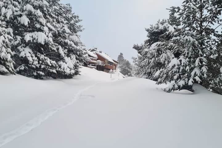 Apartamento De Montaña Tipo Cabaña - Puyvalador