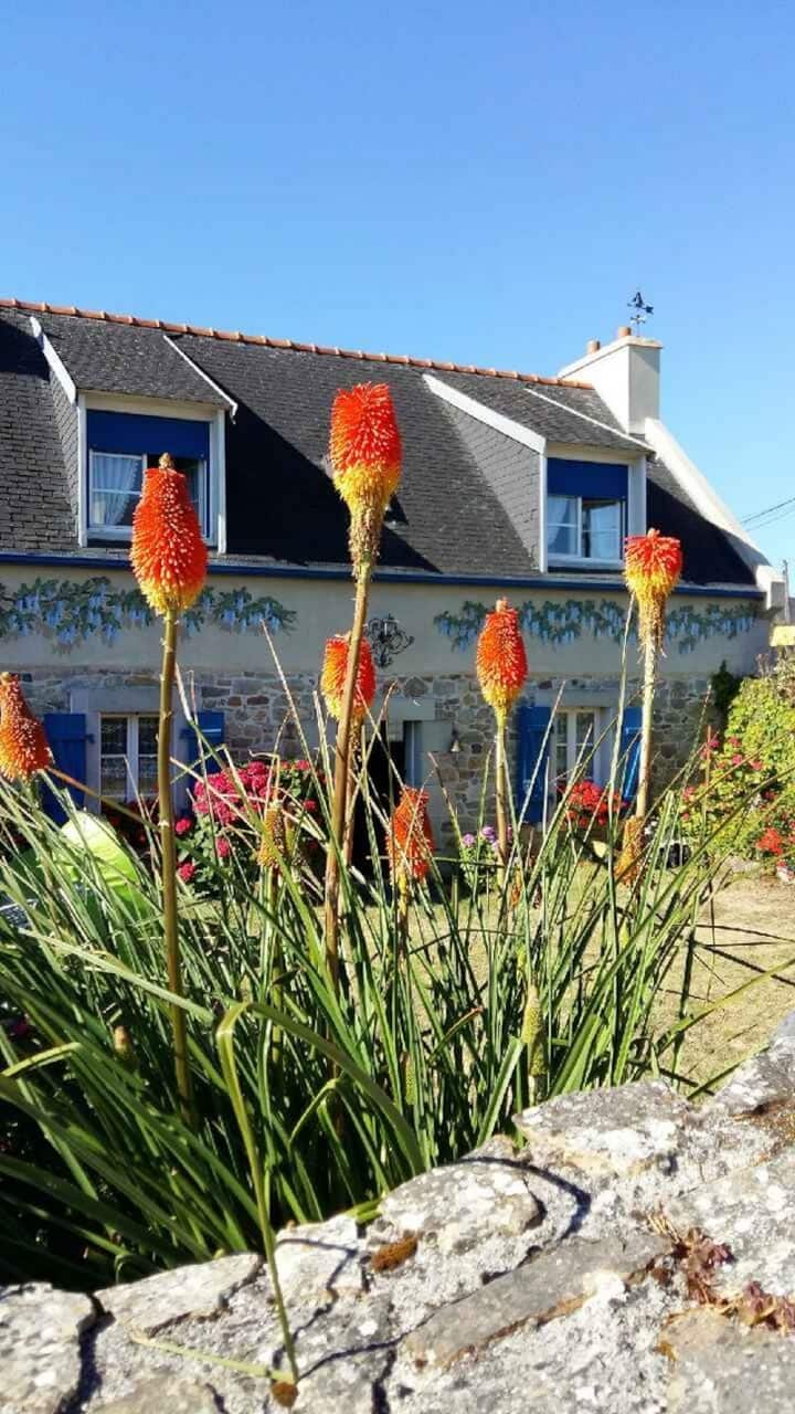 Maison De Pecheur Proche Plages Et Commerces - Camaret-sur-Mer