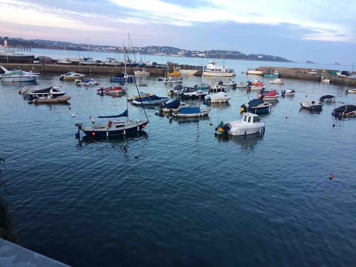 Lawn Side. Coastal. Paignton. Devon. - Brixham