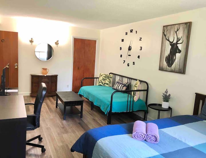 Entire 1bedroom Apartment W Parking,15' To Airport - Toronto