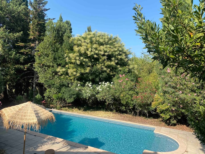 Madeleine Sous Son Platane - Avignon