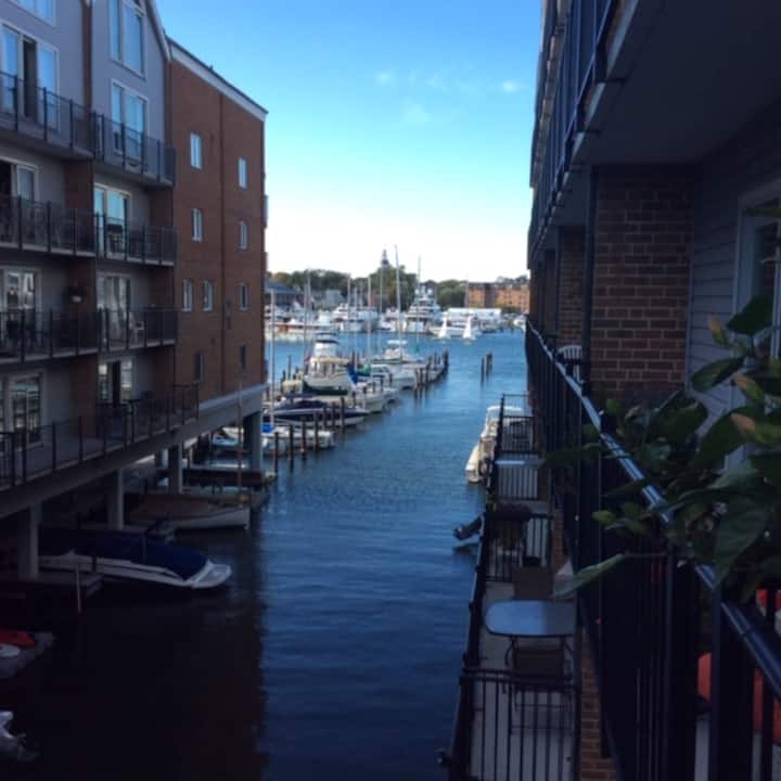Lovely Renovated Studio - Walk To Town! - Annapolis, MD