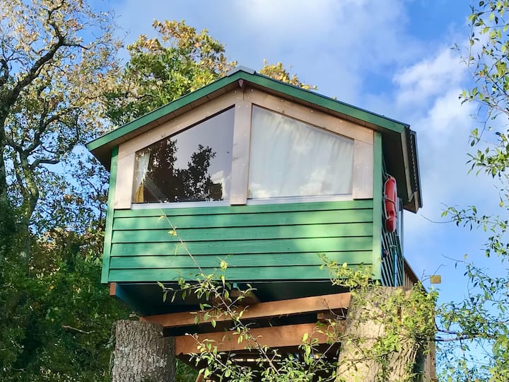 Tree House And Shepherds Hut - Ashburton, UK