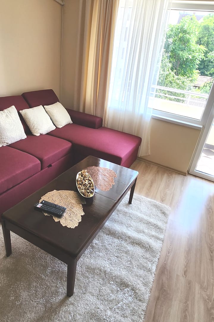 Lovely Apartment Near
The Center. - Sofía