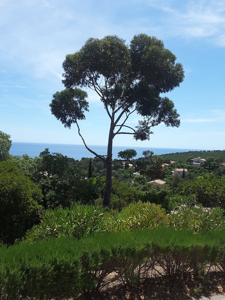 Villa Provençale Vue Sur Mer - Cavalaire-sur-Mer