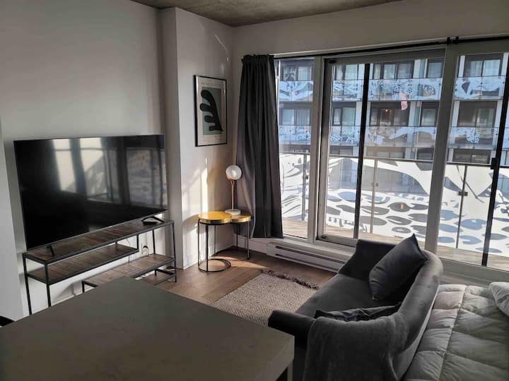 Lovely Brand New Studio In Dt/griffintown. - Montréal
