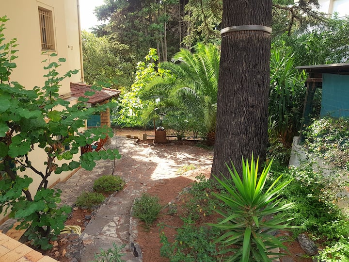 Cimiez - Maison Dans Parc Privé Proche Du Centre - Nizza