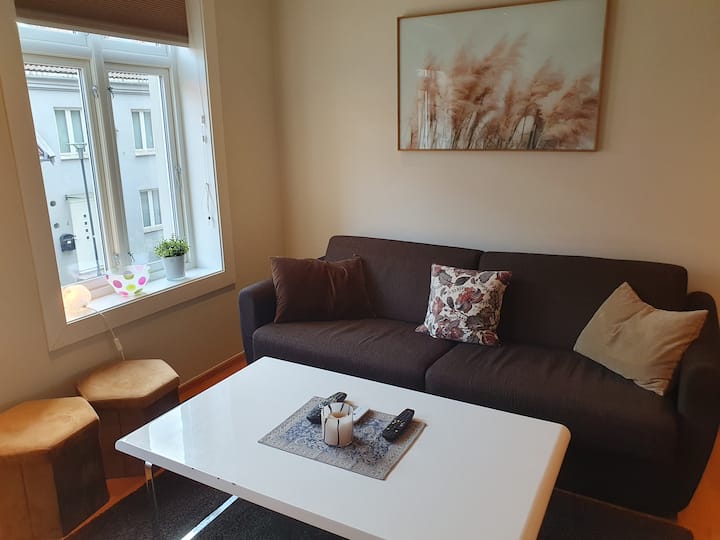 Sentral Leilighet I Sjarmerende Og Rolig Gatetun - Bergen