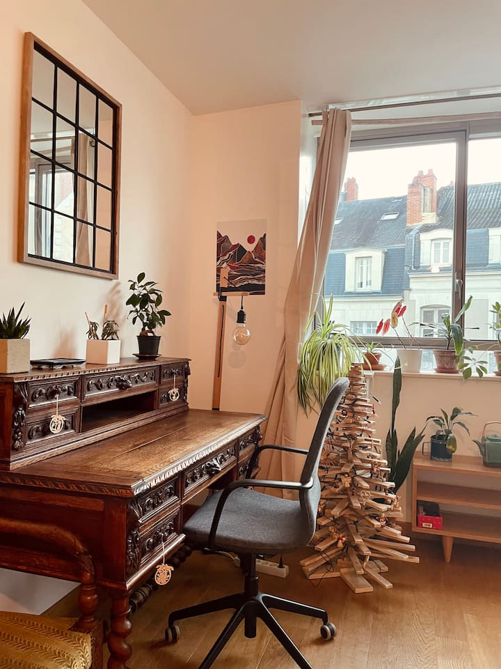 Appartement T2 Lumineux Et Fleuri Hyper-centre - Nantes