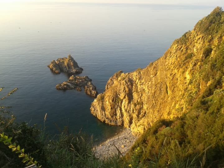 House Beach's Wild - Palmi