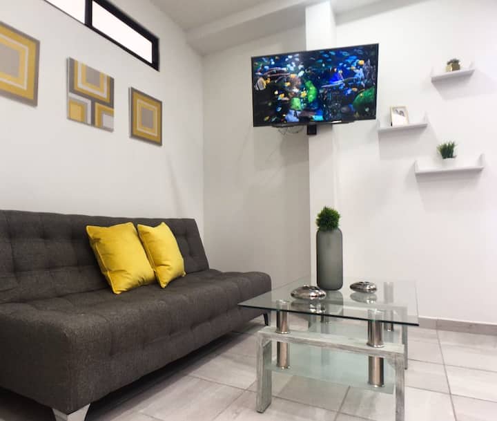 New Luxury Apartment In The 💛Of Aguascalientes - Aguascalientes