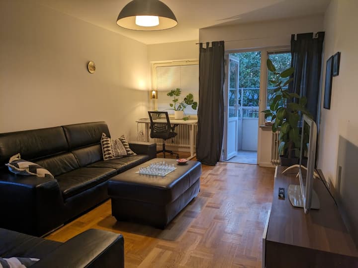 Mysig Lägenhet Med Balkong - Malmö